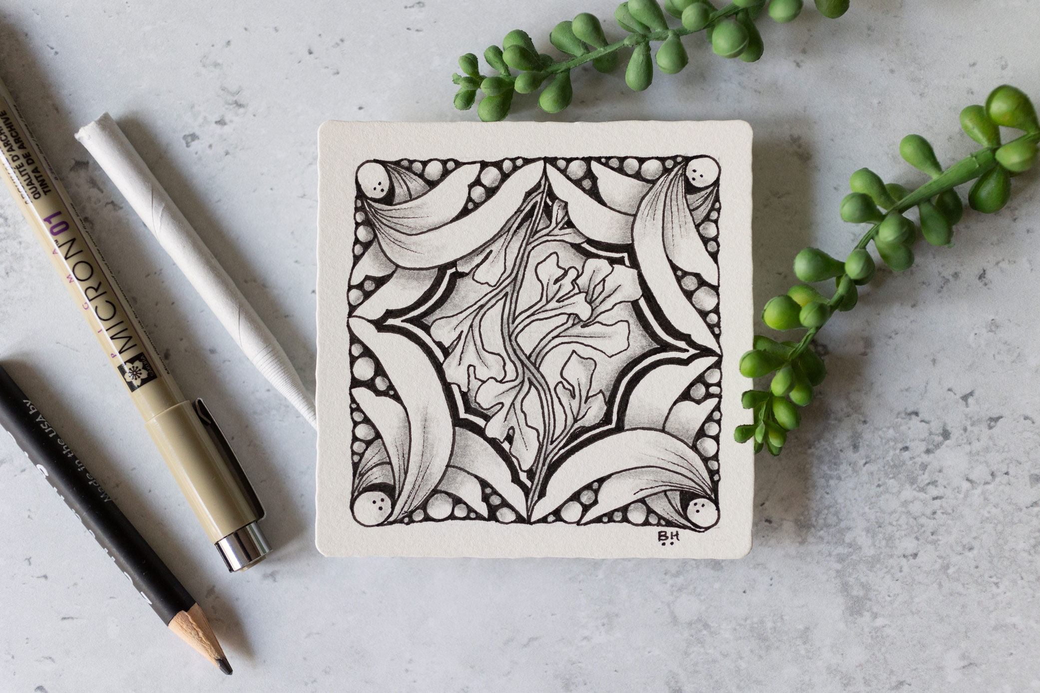 Gallery - Ivy's Corner