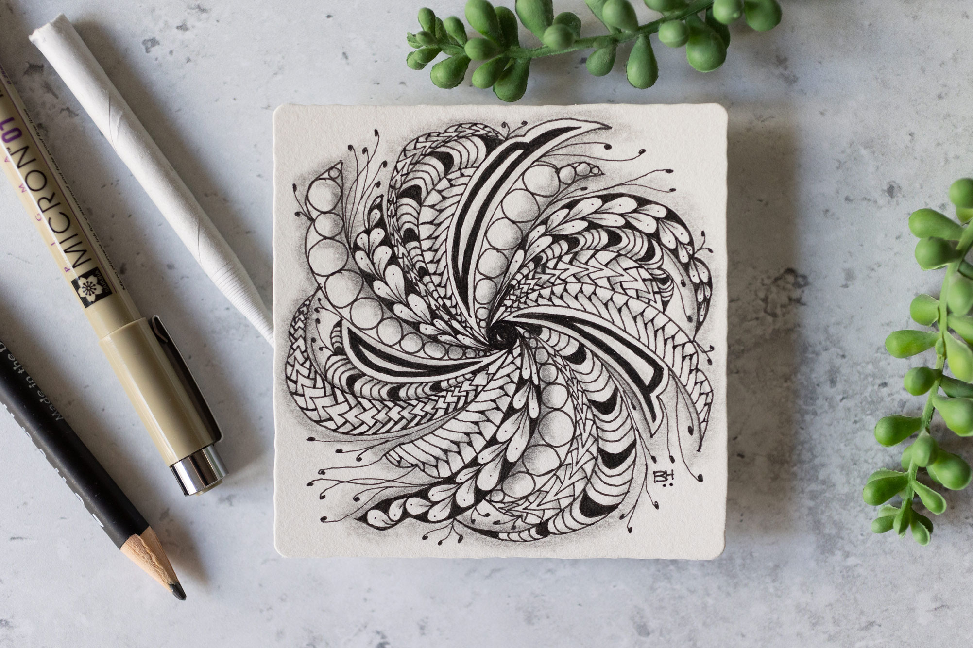 Gallery - Ivy's Corner